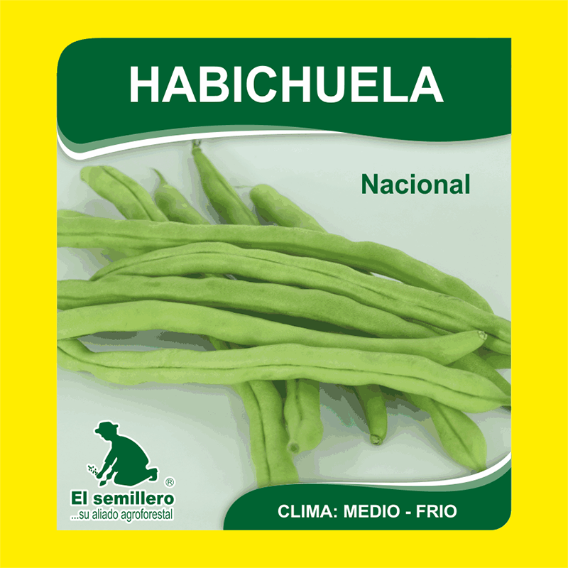 Venta de Semillas Habichuela x Kg | Compra en El Semillero